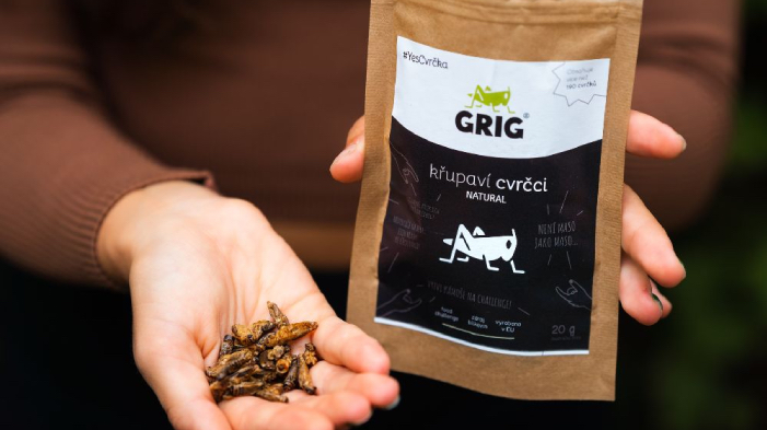 How are dried insects made? - Grigfood.com